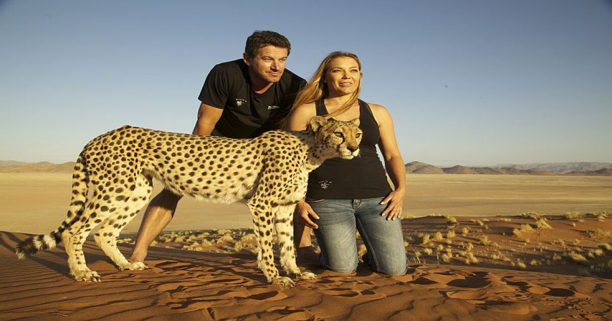 Namibia Animal Conservation | The Great Projects