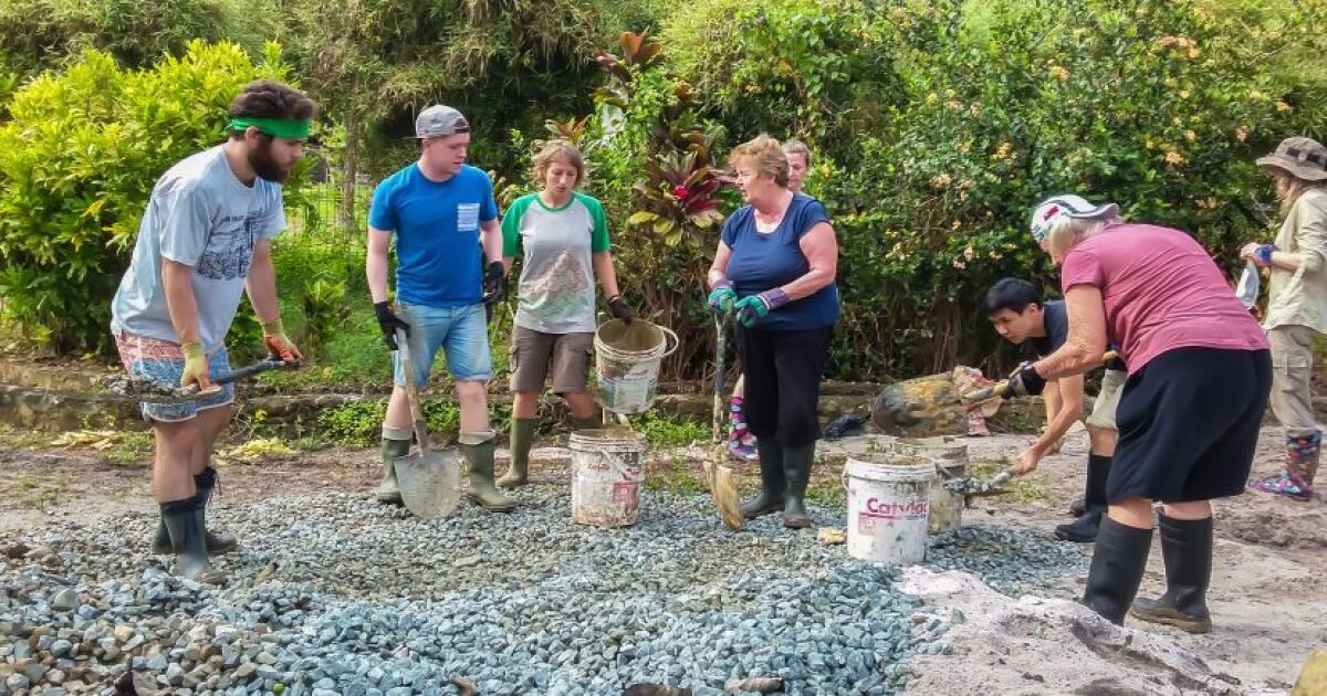 Benefits Of Volunteering With Wildlife | The Great Projects