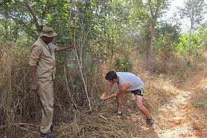 See the Victoria Falls Conservation Experience | The Great Projects