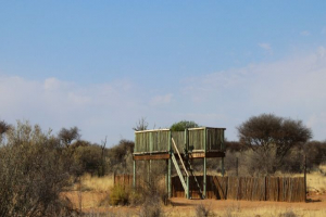 Volunteer at the Namibia Wildlife Sanctuary | The Great Projects