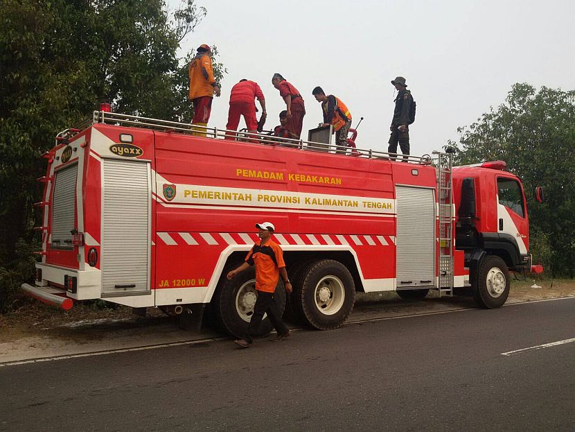 Borneo forest fire in Indonesia stopped! | The Great Projects