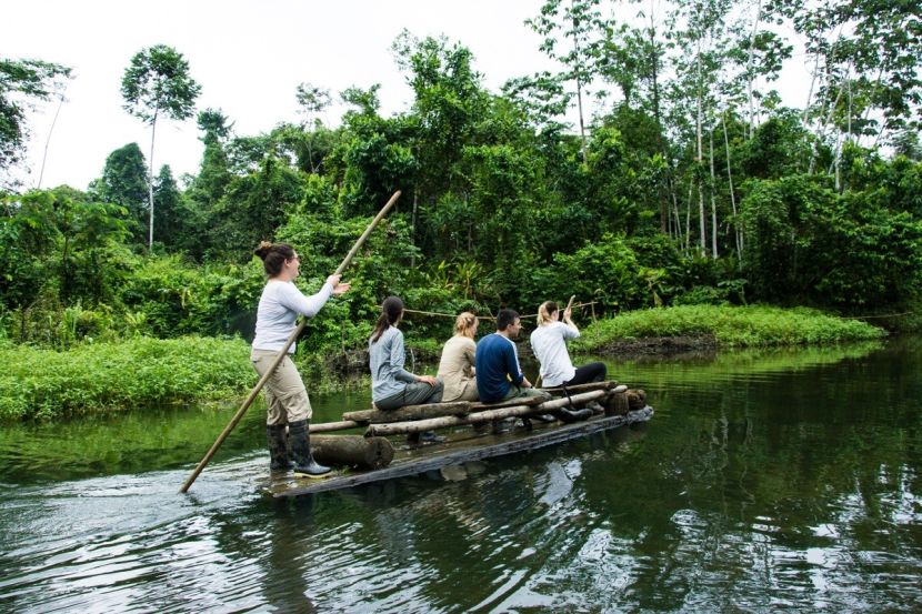 Volunteering Projects In The Amazon Rainforest | The Great Projects
