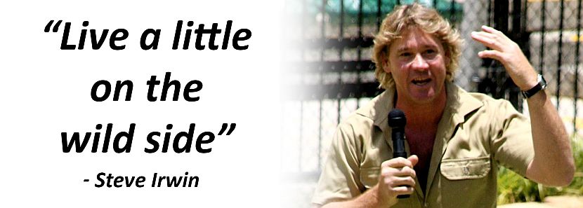 Extreme Animal Conservation Efforts | The Great Projects